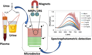 Continuous flow microfluidic system with magnetic nanoparticles for the ...