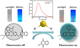 Synthesis of a fluorescent probe based on rhodol's highly selective ...