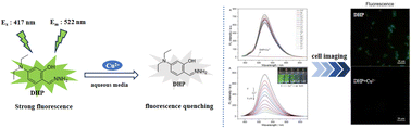 A simple turn-off fluorescent chemosensor based on a Schiff base ...