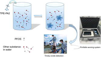 A portable fluorescence sensing system for timely onsite ...