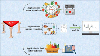 Near-infrared spectroscopy: application in ensuring food quality and ...