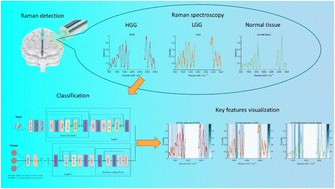 An interpretable multi-scale convolutional attention residual neural ...