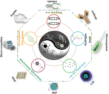 Rapid antibiotic biosensors based on multiple molecular recognition ...