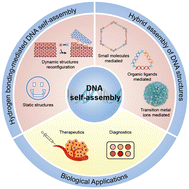 Self-assembled methodologies for the construction of DNA nanostructures ...