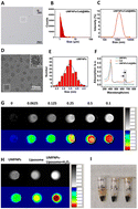 Use of UMFNPs/Ce6@MBs in multimodal imaging-guided sono-photodynamic ...