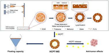 Encapsulation of hydroxycamptothecin within porous and hollow poly(l ...