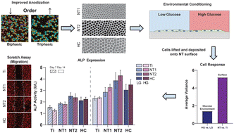 Investigating the interplay between environmental conditioning and ...