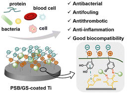 Smart zwitterionic coatings with precise pH-responsive antibacterial functions for bone implants ...