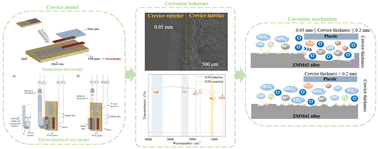 Crevice corrosion behavior of a biodegradable Zn–Mn–Mg alloy in ...