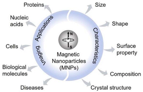 Magnetic nanoparticles for use in bioimaging - Biomaterials Science ...