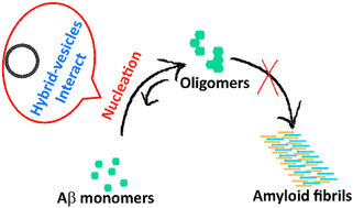 Lipid–polymer hybrid-vesicles interrupt nucleation of amyloid ...
