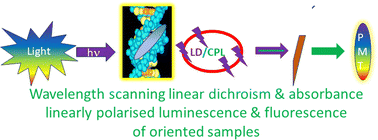Linear dichroism and linearly polarised luminescence spectra of ...