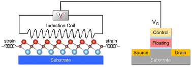Janus MXene nanosheets with a strain-induced reversible magnetic state ...