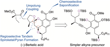 Concise total synthesis of (−)-berkelic acid via regioselective ...