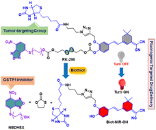 Stimuli-responsive biotin-anchored prodrug for the targeted delivery of ...