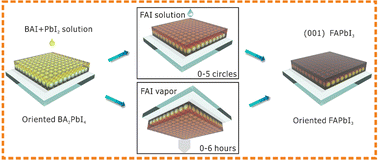 Building (001) oriented FAPbI3 films for high-performing perovskite ...