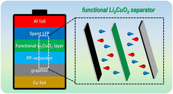 Designing functional Li2CuO2-coated separators from Cu foil towards ...