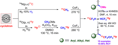 Copper(i)-free syntheses of [11C/18F]trifluoromethyl ketones from alkyl ...