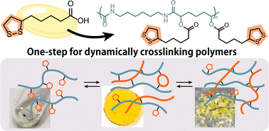 Passerini polymerization of α-lipoic acid for dynamically crosslinking ...