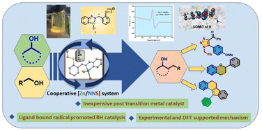 Experimental and theoretical insights for designing Zn2+ complexes to ...