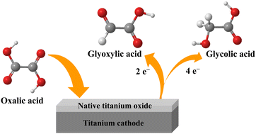 Evaluating the native oxide of titanium as an electrocatalyst for ...
