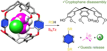 Self-assembled tetrazine cryptophane for ion pair recognition and guest ...