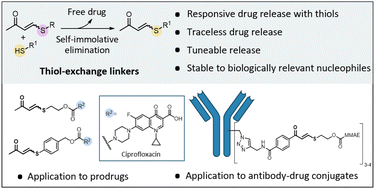 Tuneable thiol exchange linkers for traceless drug release applications ...