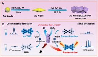 An Au bipyramids@CuZn MOF core–shell nanozyme enables universal SERS ...