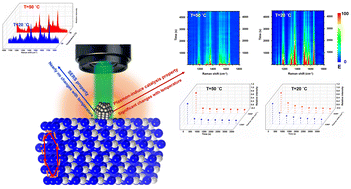 Thermal modulation of surface-enhanced Raman scattering and plasmon ...