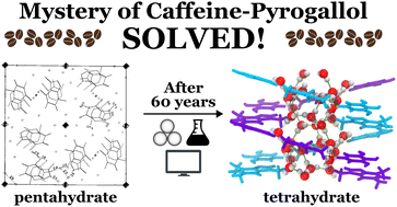 Structure of the caffeine–pyrogallol complex: revisiting a pioneering ...