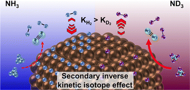 Inverse kinetic isotope effect of ammonia decomposition over Ru/CeO2 ...