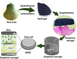 Waste biomass-based 3D graphene aerogels for high performance zinc-ion ...