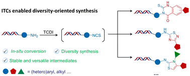 Isothiocyanate intermediates facilitate divergent synthesis of N ...