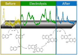 Solvent-dependent reaction mechanisms in the electrooxidative coupling ...