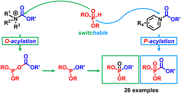 Switching between P-acylation and O-acylation of H-phosphonates with ...