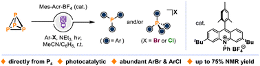 Photocatalytic functionalization of white phosphorus with aryl bromides ...