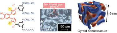 Design of V-shaped ionic liquid crystals: atropisomerisation ability ...