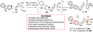 Total synthesis of (+)-oridamycins A and B - Chemical Communications ...