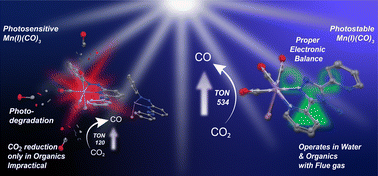 A ligand-modulated photostable Mn(i)–carbonyl complex for preferential ...