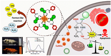 Atomically precise copper nanoclusters mediated Fenton-like reaction ...