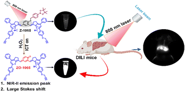 A novel NIR-II fluorescent probe for hydrogen peroxide detection in drug-induced liver injury ...