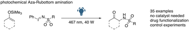 Photochemical α-amination of carbonyl groups with iodinanes - Chemical ...