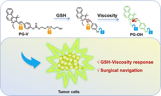 Glutathione and viscosity double-locked response fluorescent probe for ...