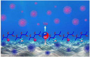 pH-Regulated reversible phase inversion of poly(ionic liquid) aqueous ...