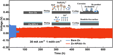 A self-assembled 2-hydroxyphosphonoacetic acid protective layer enables ...