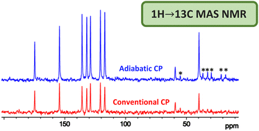Significant 13C NMR signal enhancements in amino acids via adiabatic ...