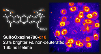 Deuterated oxazines are bright near-infrared fluorophores for ...