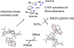 Csp2–H/F bond activation and borylation with iron - Chemical ...