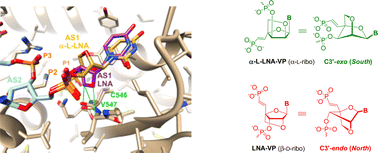 Conformation matters: siRNAs with antisense strands with 5′-(E)-vinyl ...