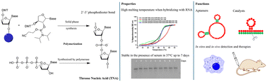 Versatility of threose nucleic acids: synthesis, properties, and ...